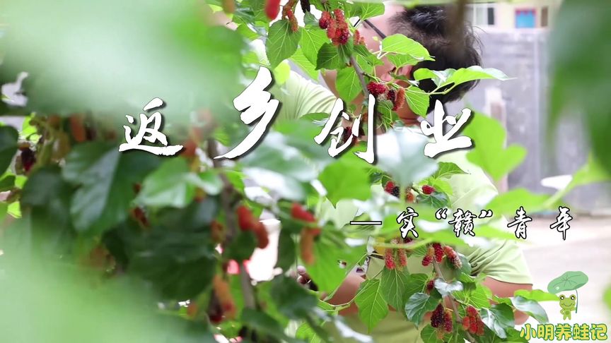 恭喜传庆同学获得优秀毕业设计