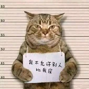 some力 