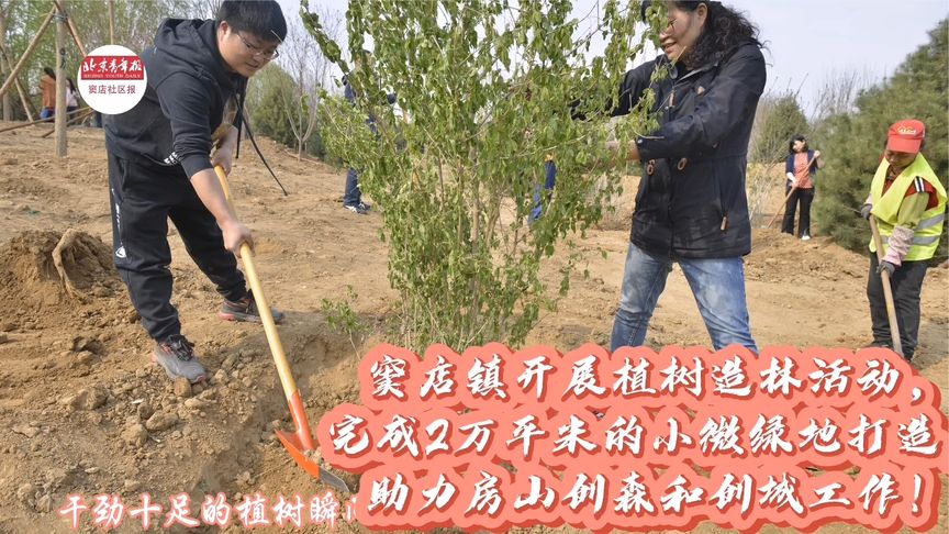窦店镇内开展植树造林活动,完成2万平米的小微绿地打造