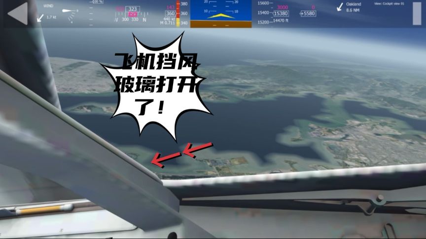 航空模拟飞行2020 (1)