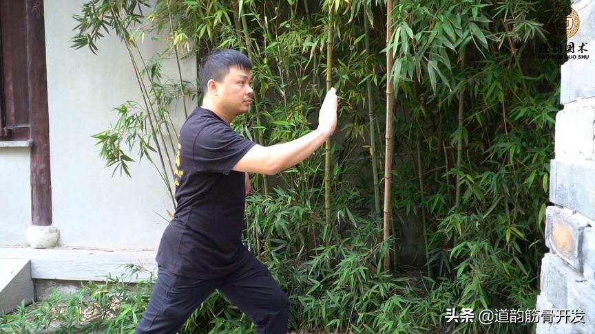 道韵筋骨开发 传统武学门内原传功力架单推掌劲力发放
