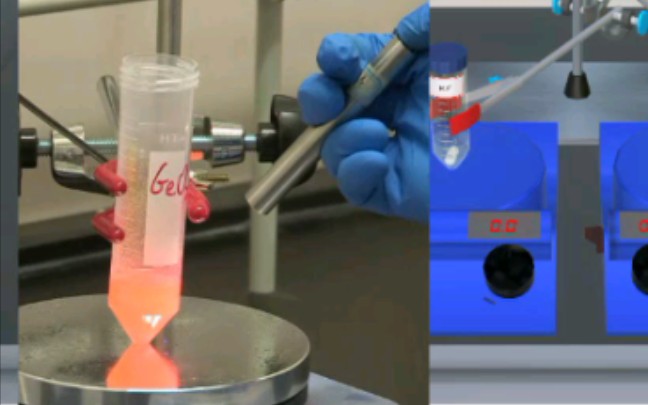 [虚拟实验室]氟化物的制备