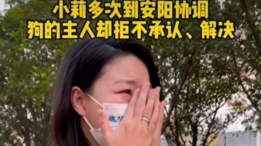 河南安阳狗咬人事件小莉多次协调未果,近日终于有了突破性进展!