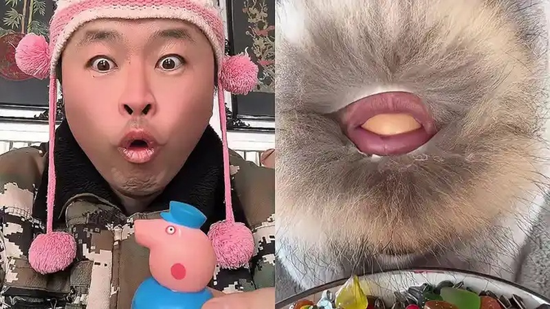咯咯哒,咯咯哒,母鸡下蛋啦