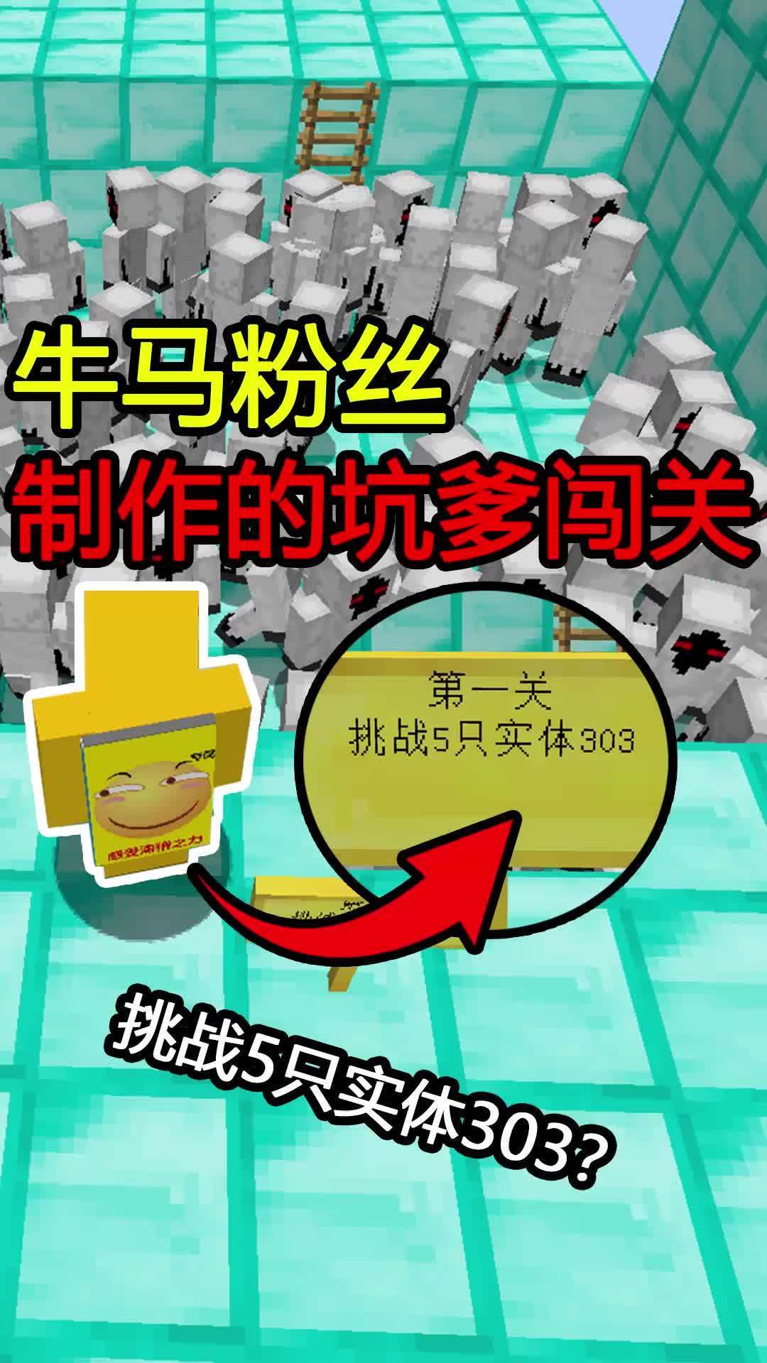 我的世界:打败5只实体303!