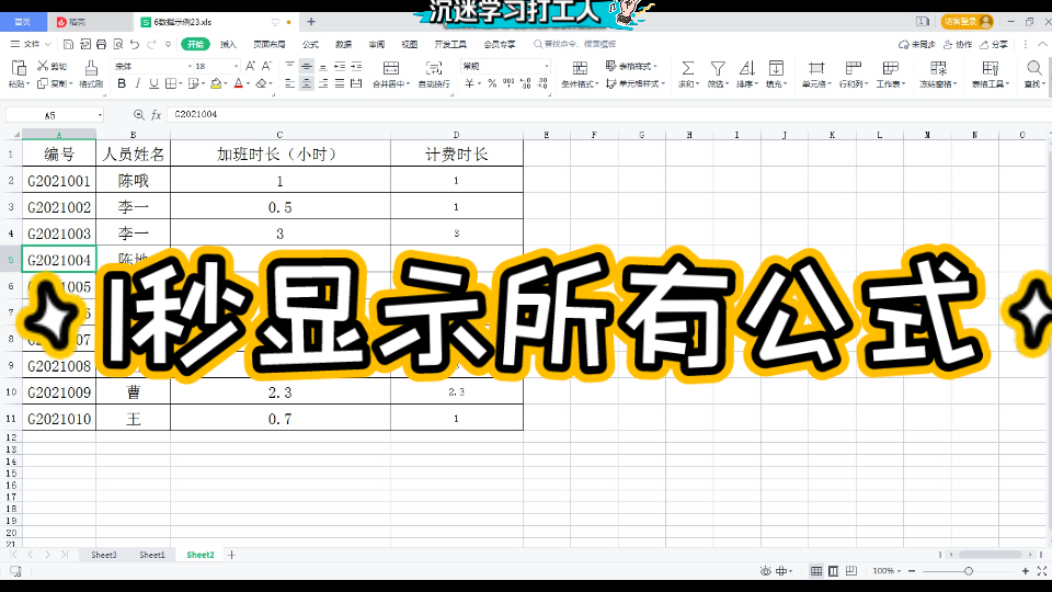 显示表格中所有公式。格式调整27 WPS office excel