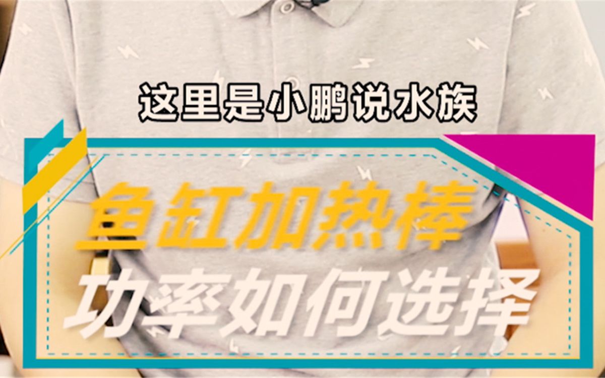 鱼缸加热棒功率,详细选择方法,与您分享