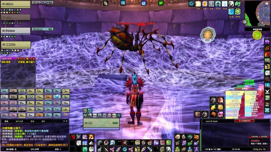 魔兽世界怀旧服NAXX 蜘蛛区三号,迈克斯纳,猎人视角