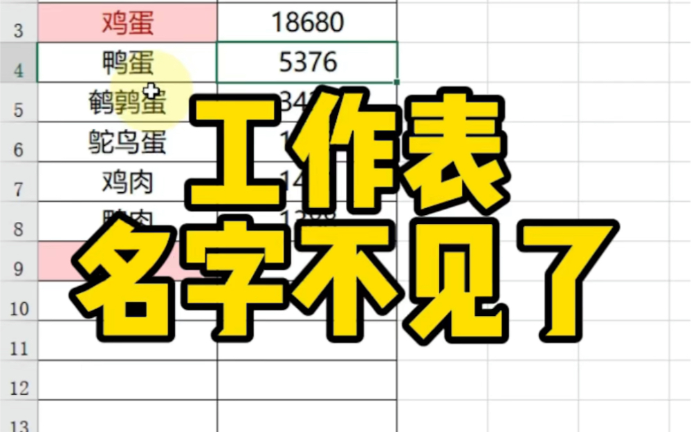 Excel工作表名字不见了