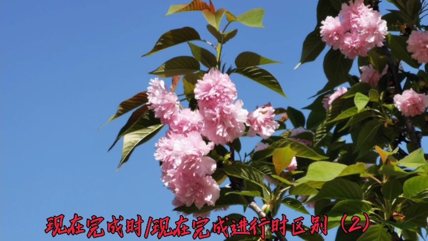 现在完成时/现在完成进行时区别(2)
