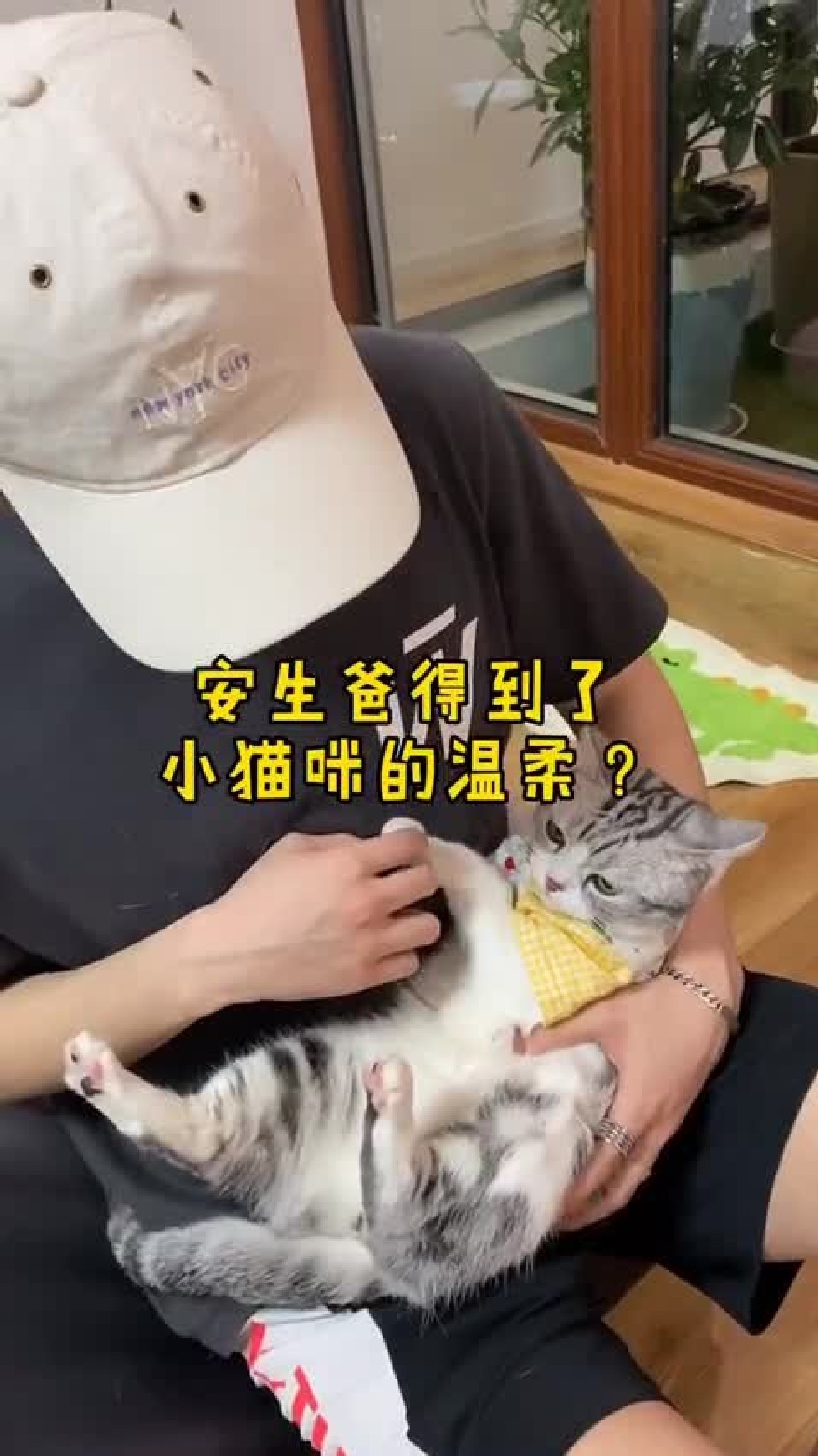 安生啊那个下次我一定不会把你忘记的王泡芙年年是年