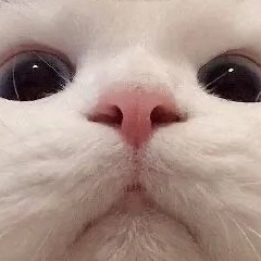1883573999 