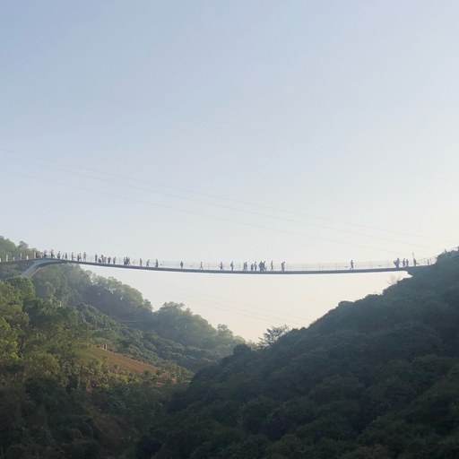 小瑞来了哦 