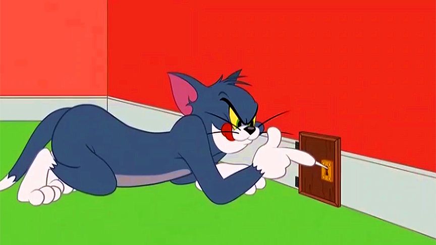 猫和老鼠:汤姆和杰瑞打架,吵醒熟睡的小老鼠泰菲,这下麻烦了