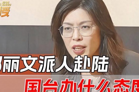 郑丽文面临重重挑战,先派人赴陆探口风,这次和大陆想到一起了