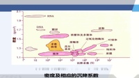 细胞生物学-细胞组分的分离与纯化