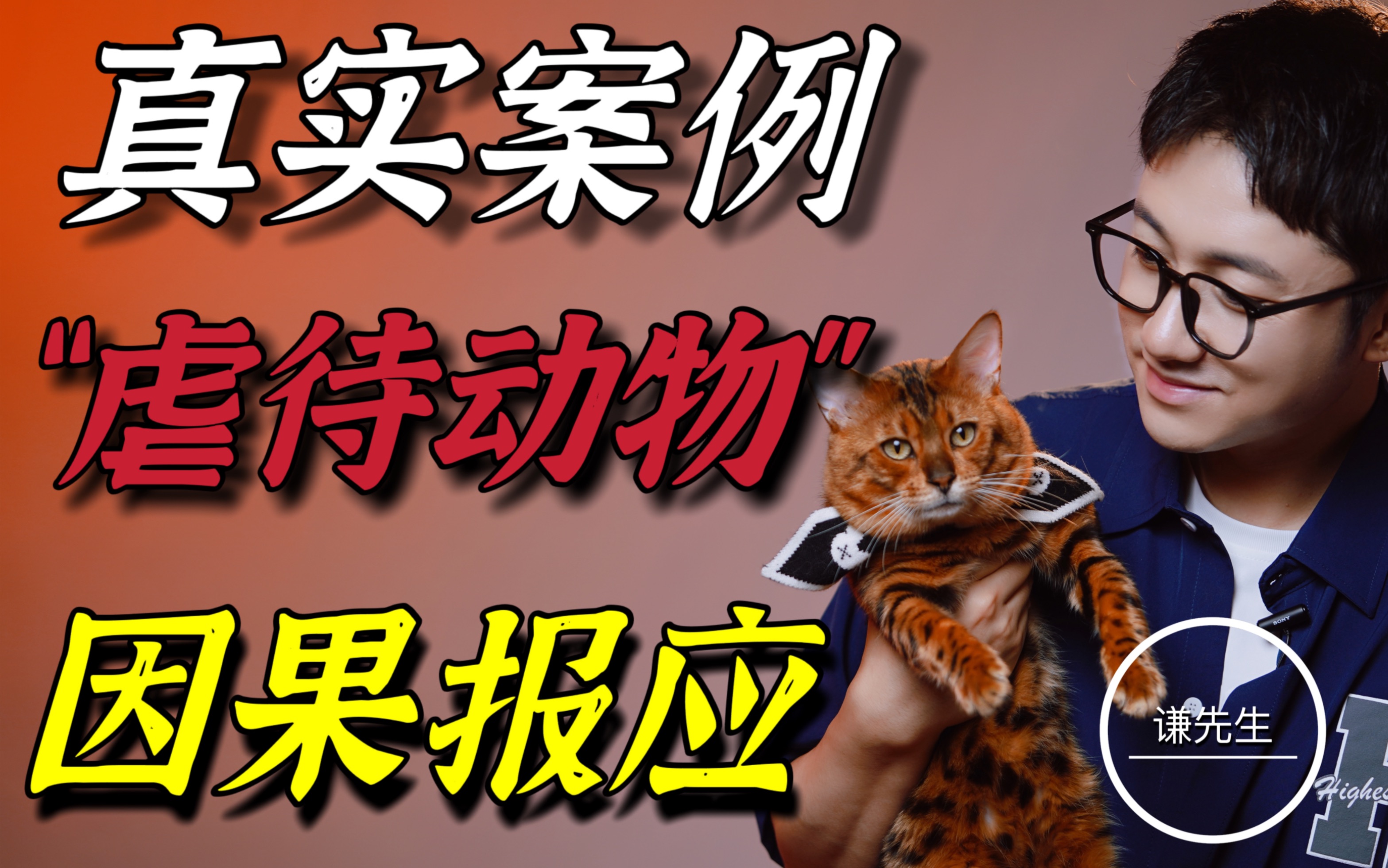 虐待动物的人,会得报应吗?看看这些真实案例,下场多惨!