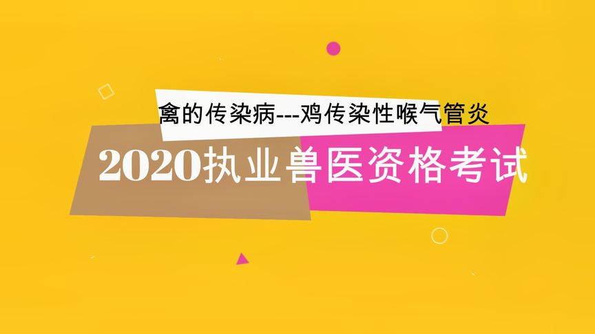 执业兽医资格考试--预防科目--禽的传染病--鸡传染性喉气管炎