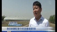 种养结合打造绿色生态循环农业园