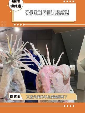 央美毕业展,每一个作品都引人深思#央美毕业展 #艺术 #美学 #央美