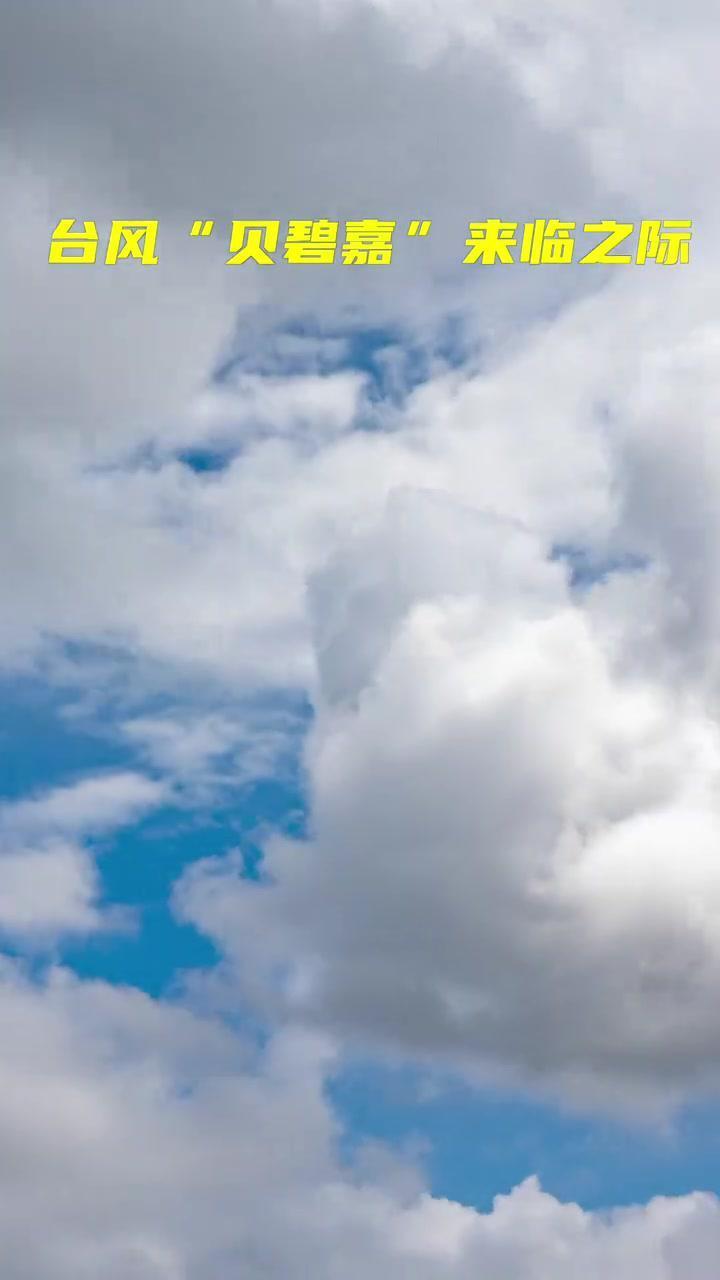 ...于9月13日就联合龙泉港出海闸管理站开展出海闸用电设备和电源...