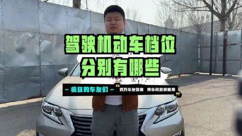 老司机必看!汽车档位全解析,告别换挡误区