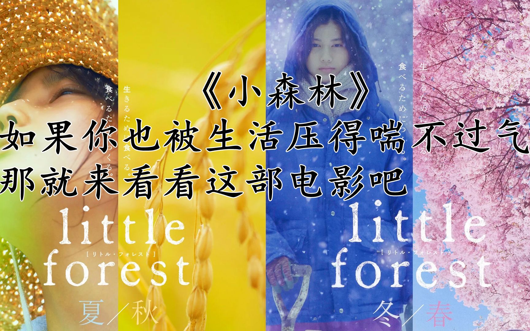 小森林》--一部让你看完后会重新爱上生活的电影!