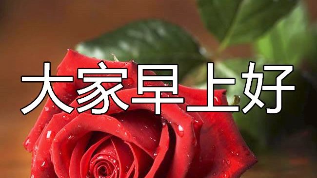 早上好,清晨送上最美的问候,祝朋友心情好、开心每一天