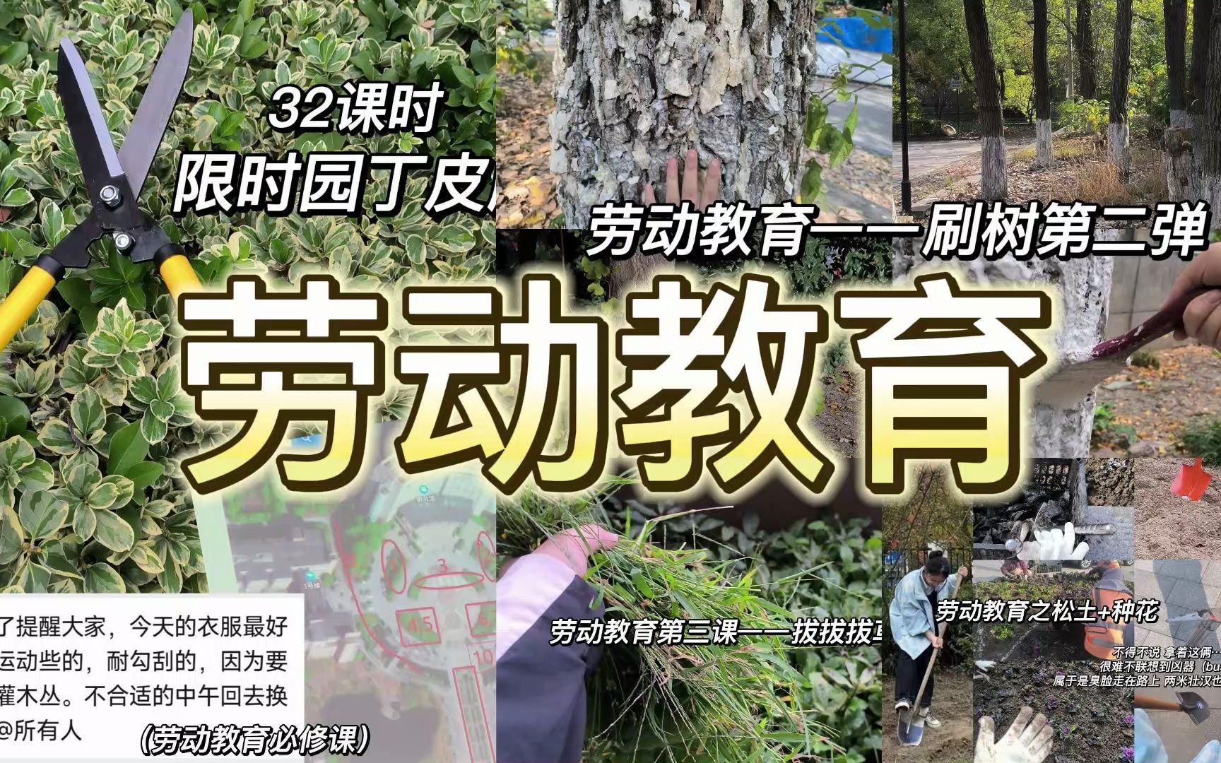 一分钟速览劳动教育