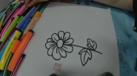 教你画一朵漂亮的菊花