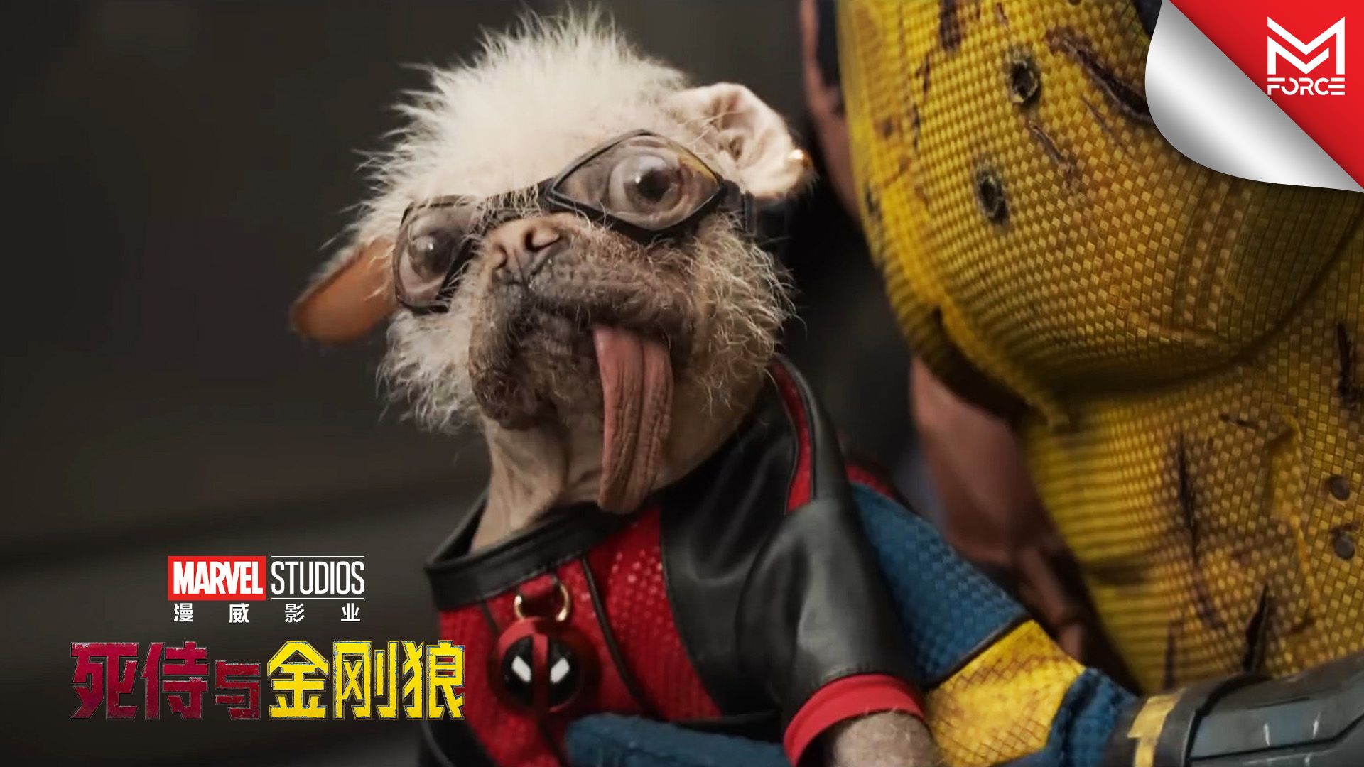 如何防剧透?漫威来支招|《死侍与金刚狼》新预告(中文字幕)|M-Force ...