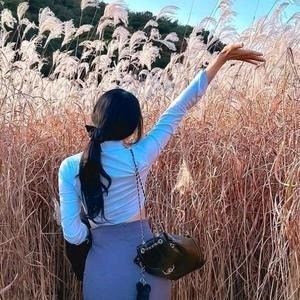 滇红小妹 