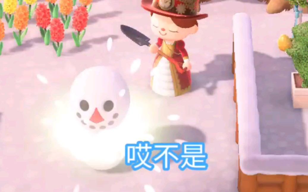 【动森】怎么跟雪哥哥解释我这回真不是故意的_游戏热门视频