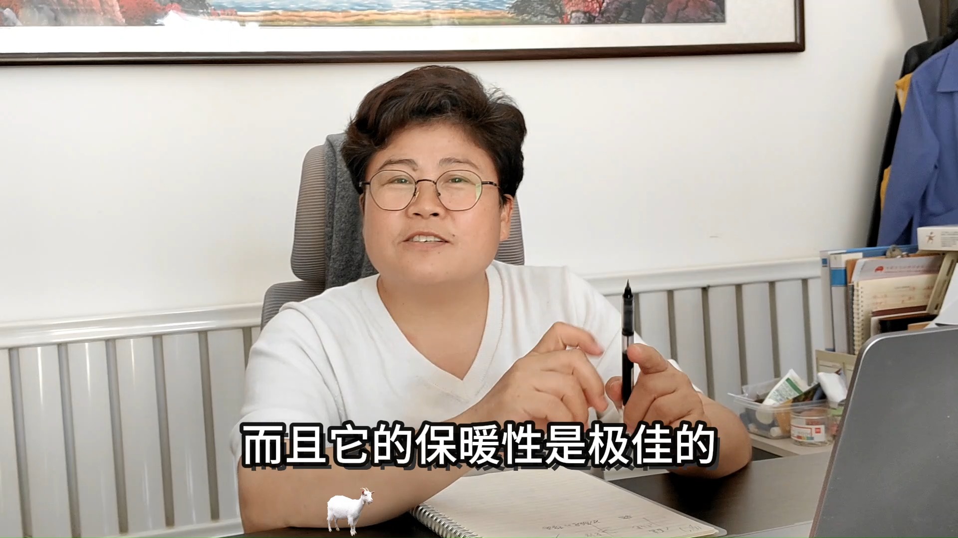 绵羊绒全是假,行业不承认统称绵羊毛,山羊绒绵羊绒哪个好?