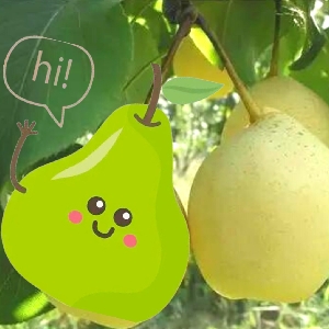 繁忙的毕业季 