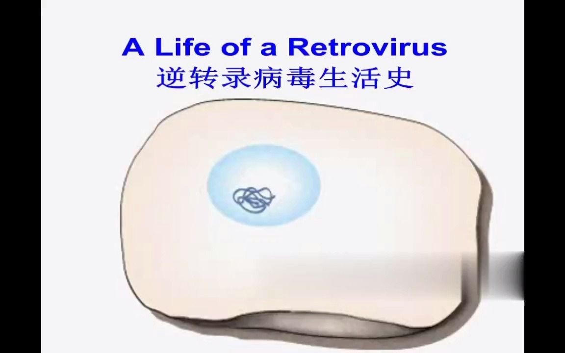 逆转录病毒生活史(英语中字)