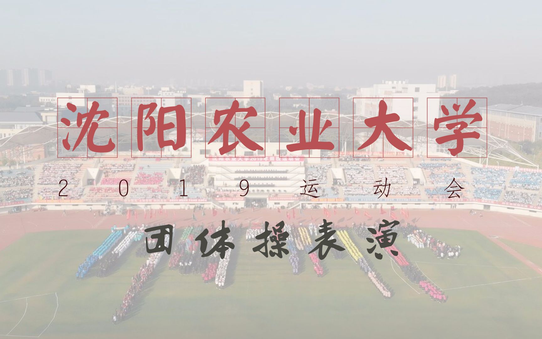 2019运动会团体操表演