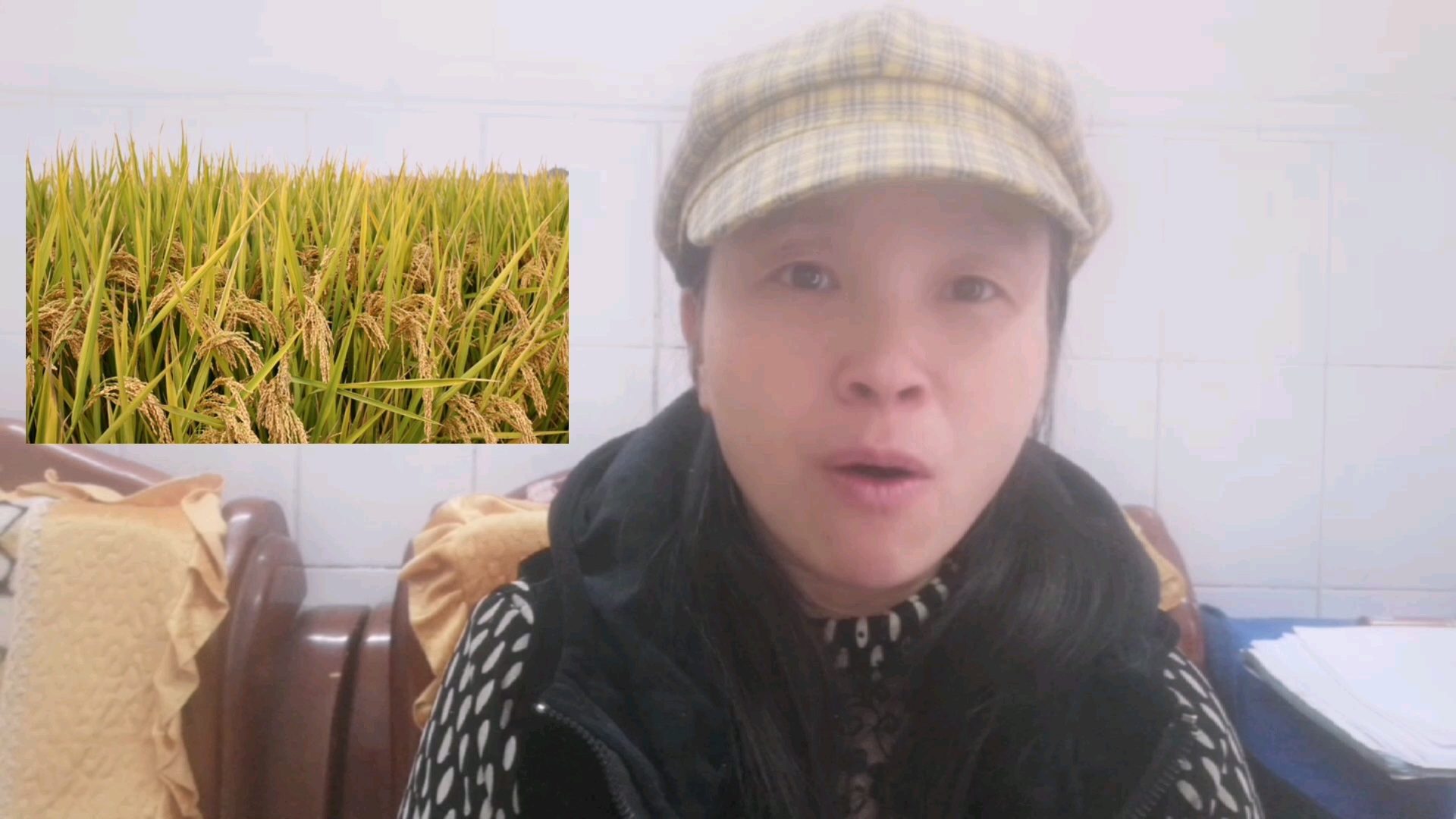 三年级上册语文,天气真热,围绕中心句写一段话