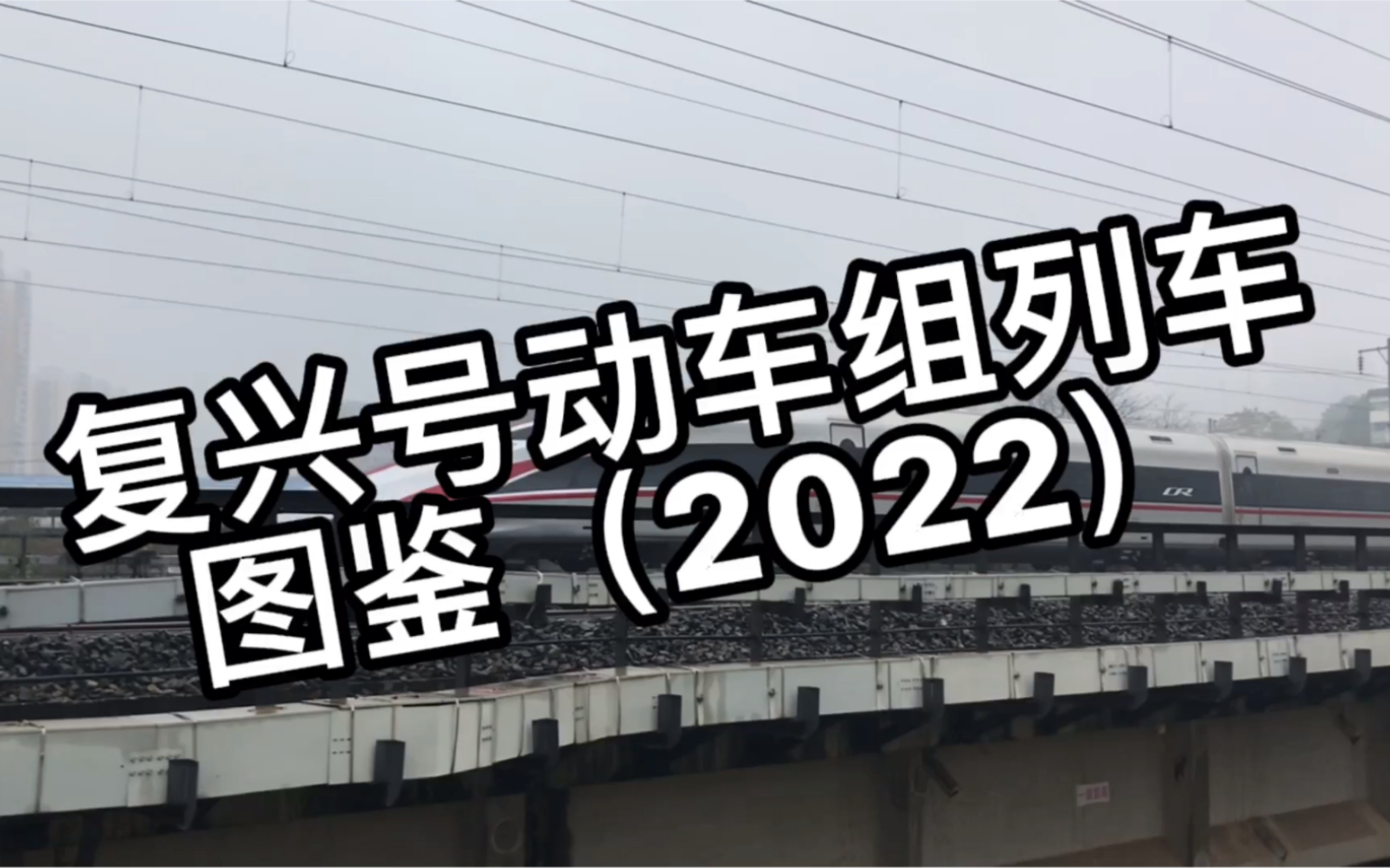[中国铁路2022]复兴号动车组列车图鉴