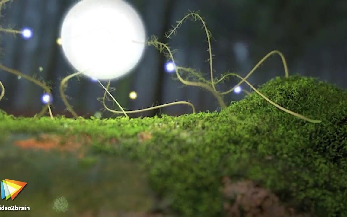 【C4D教程】粒子引擎从入门到精通