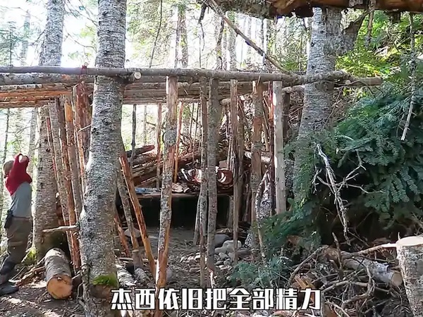 三分之一:猎人心软了,姑娘绝食抗议,就为建个奢华大宅!