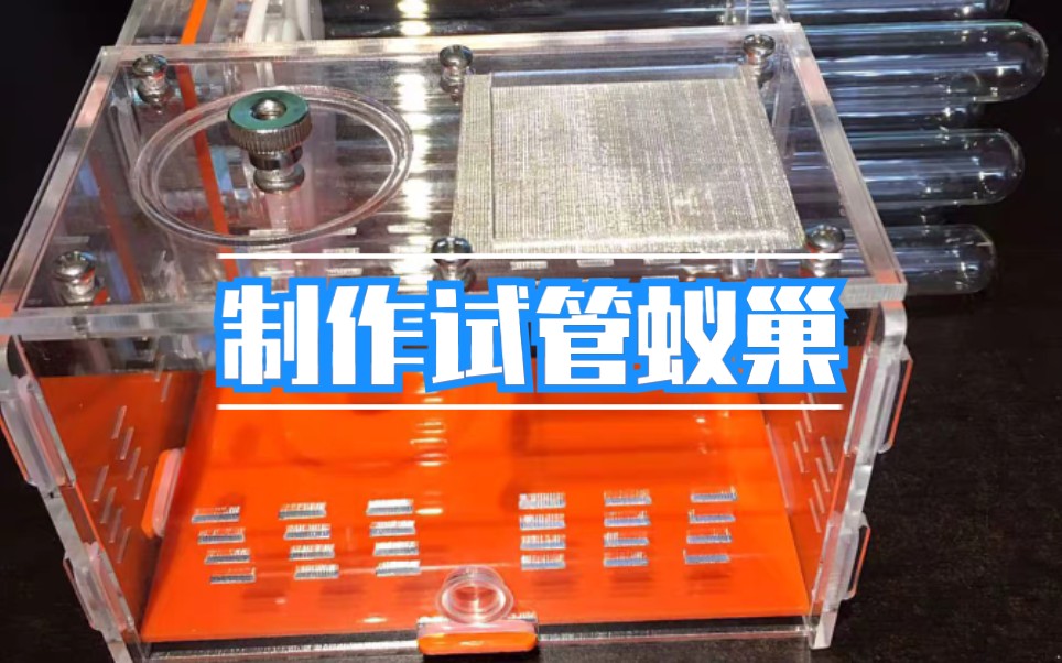 自制试管巢下+收获蚁入巢