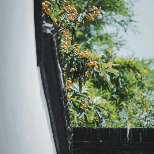 找壶紫砂雪竹 