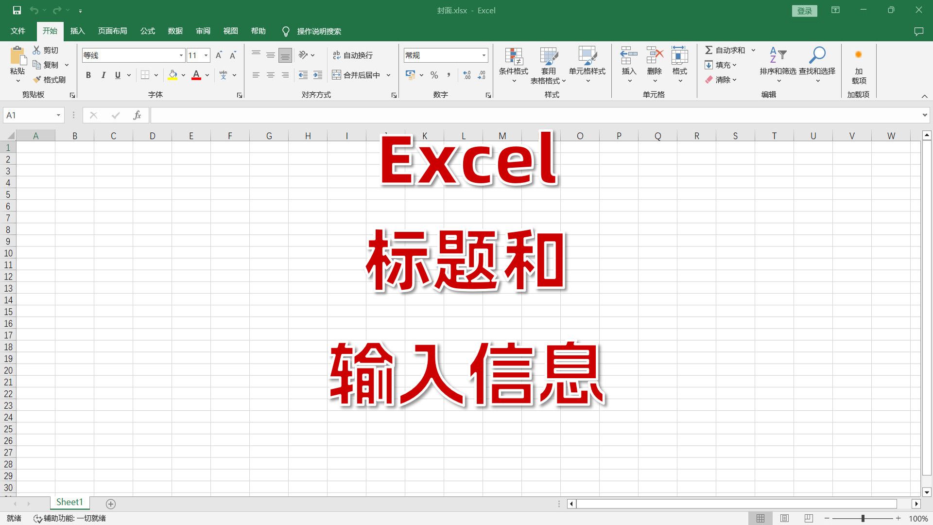 Excel标题和输入信息