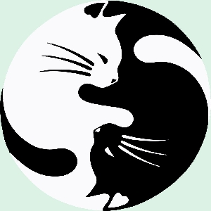 任耳的帽子 