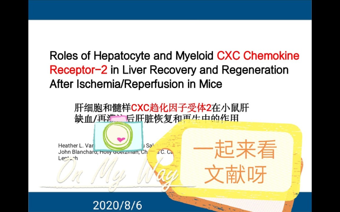 一起来看文献呀,医学文献分享