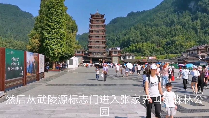 张家界国家森林公园怎么玩,如何避免上当受骗,游玩攻略路线收好