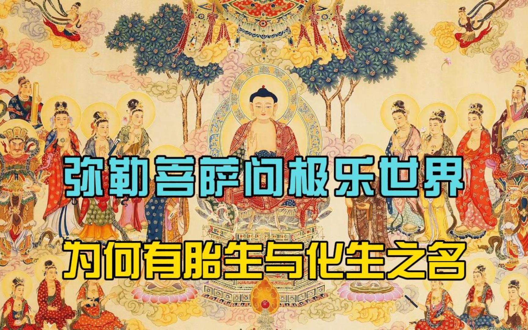 《佛说无量寿经》讲义 第十三集(2) 弥勒菩萨问极乐世界为何有胎生与...