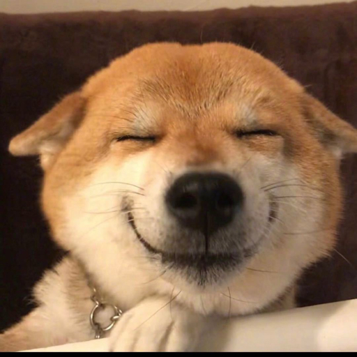 超级大黄 