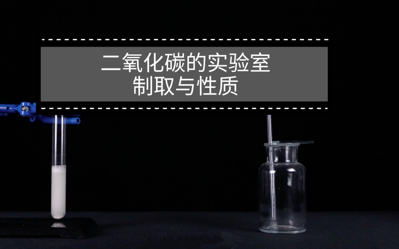 中考化学实验:二氧化碳的实验室制取与性质
